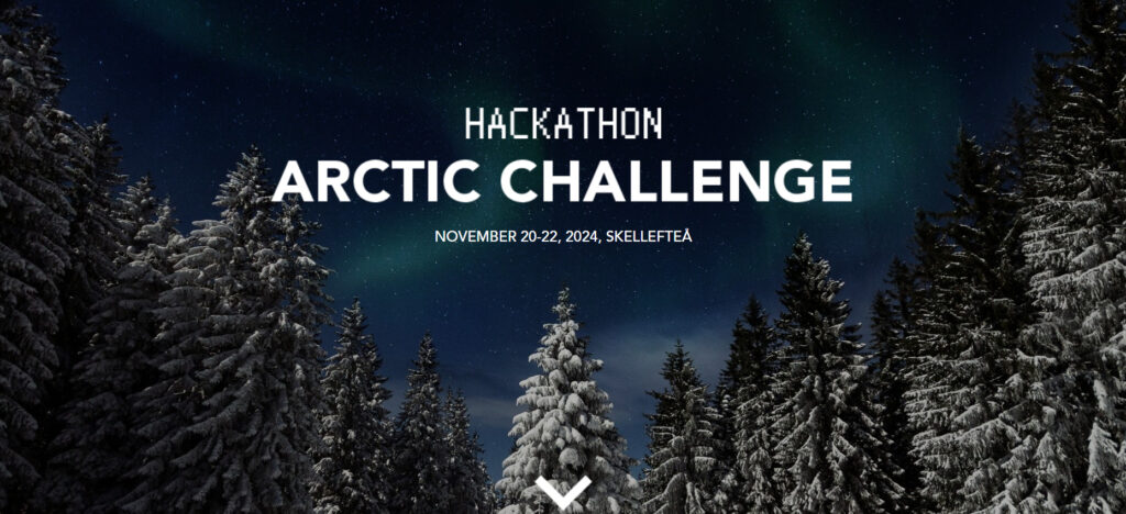 Arctic Challenge 2024 – English Esuda
